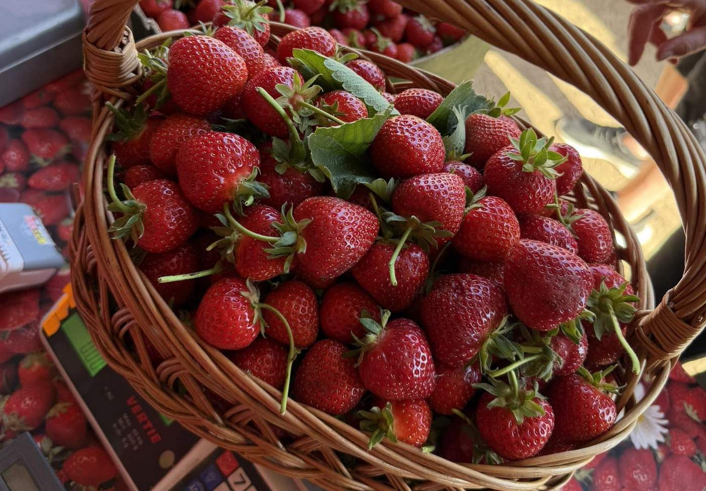 Nenaleťte pri nákupe jahôd: Takto spoznáte naozaj čerstvé a zdravé ...