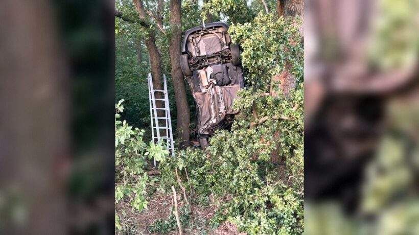 Auto zostalo po náraze do stromu stáť kolmo, 30-ročný vodič nemal šancu ...